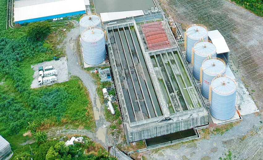 Algal Technology for Swine Wastewater Treatment in Pig Farm, Taiwan