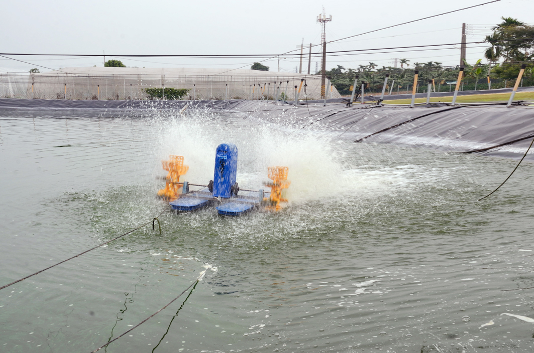 High Efficiency Paddlewheel Aerator Installation– Hua‐yang Aquaculture
