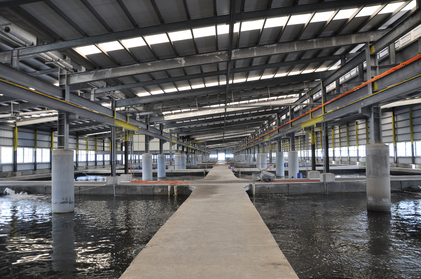 Long distance sea water pumping application